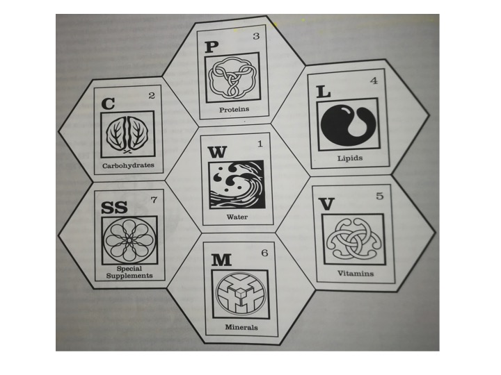 Body Building Blocks – Holistic Natural Nutrition Counselling